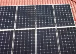 5 Ways to Keep Birds Off Solar Panels - portablesolarexpert.com